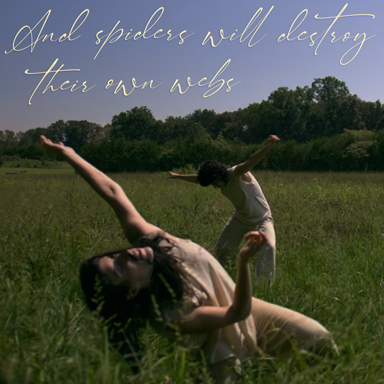 "And Spiders Will Destroy Their Own Webs" (2017 Eclipse)